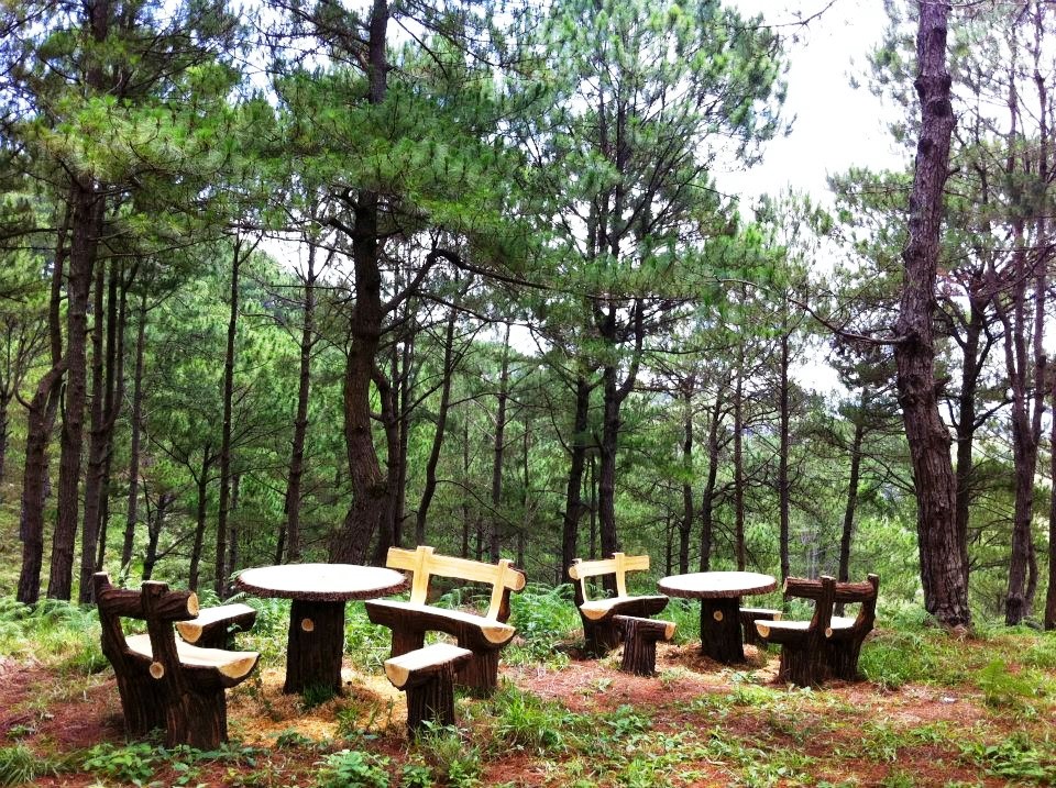 A Short Trek to Mt. Kalugong – The Official Traveler