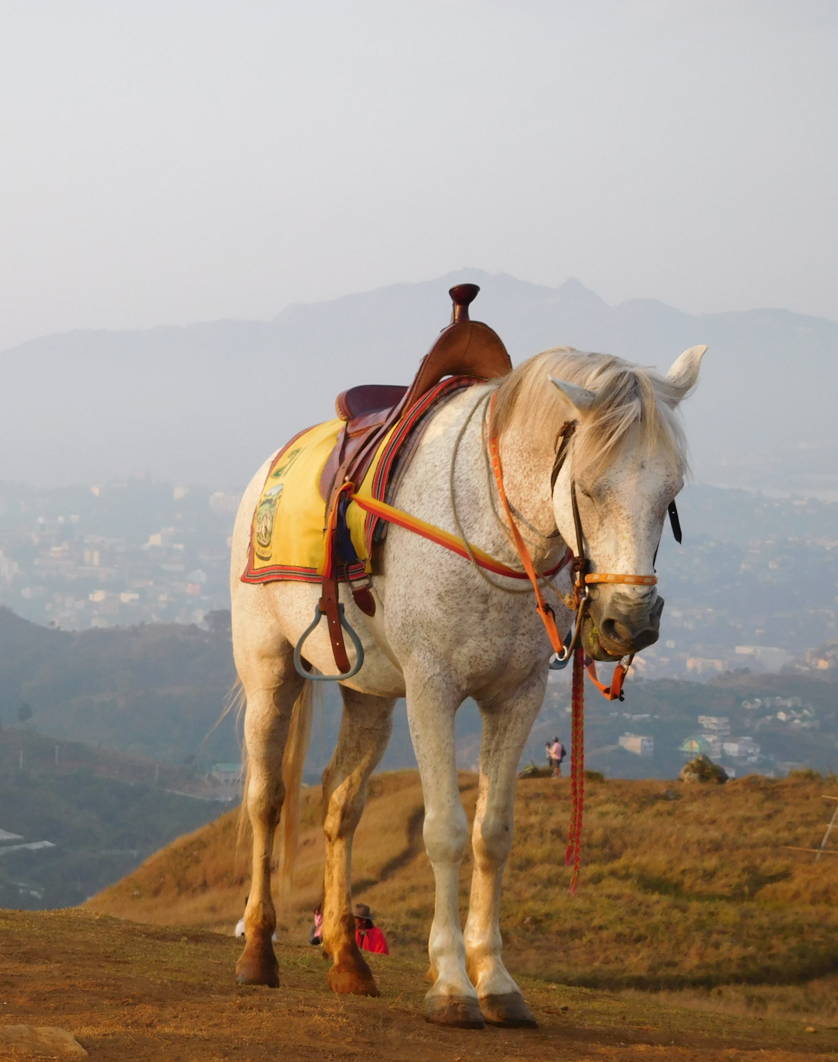 Mt. Yangbew (Mt. Jumbo): A Family Adventure – The Official Traveler