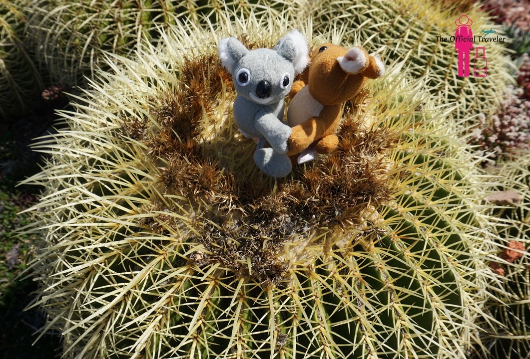 Pathfinder: Where do I go from here? – The Official Traveler